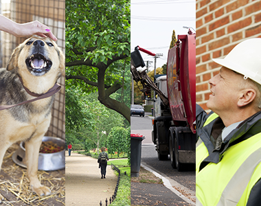 Collaborative Service Delivery | icma.org