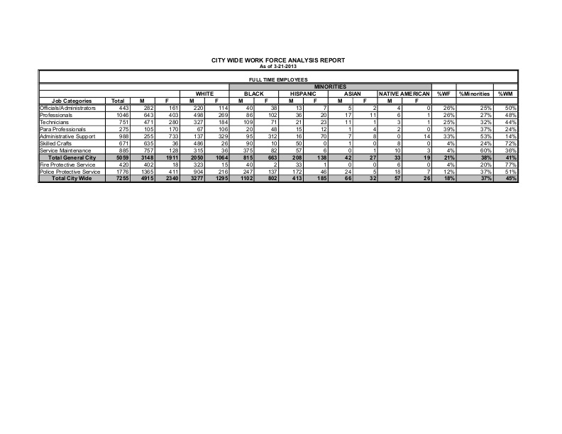 SAMPLE: City Wide Workforce Analysis Report | icma.org