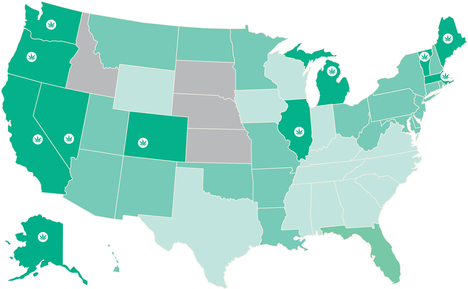 Commercial Cannabis Policies State by State | icma.org